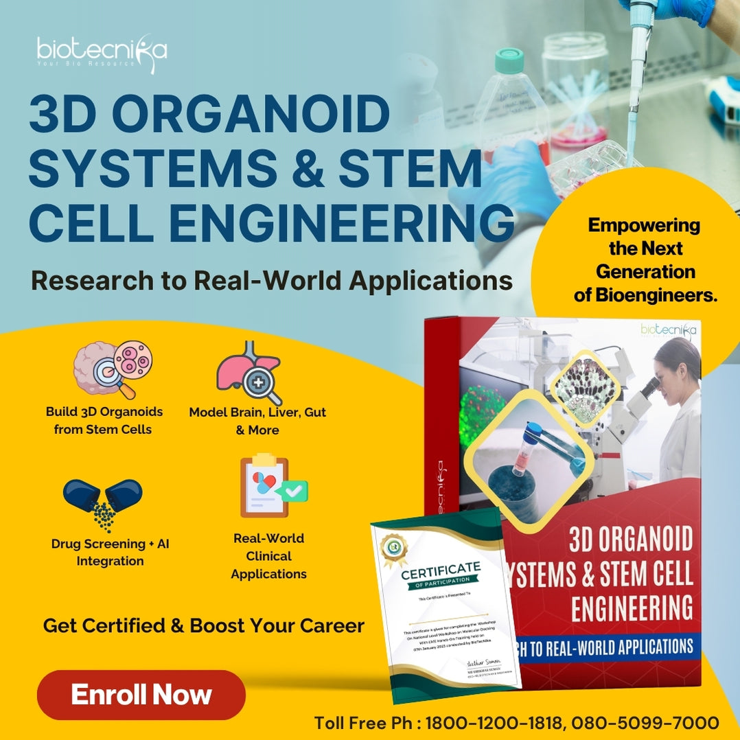 3D Organoid Systems & Stem Cell Engineering Certification Course ...