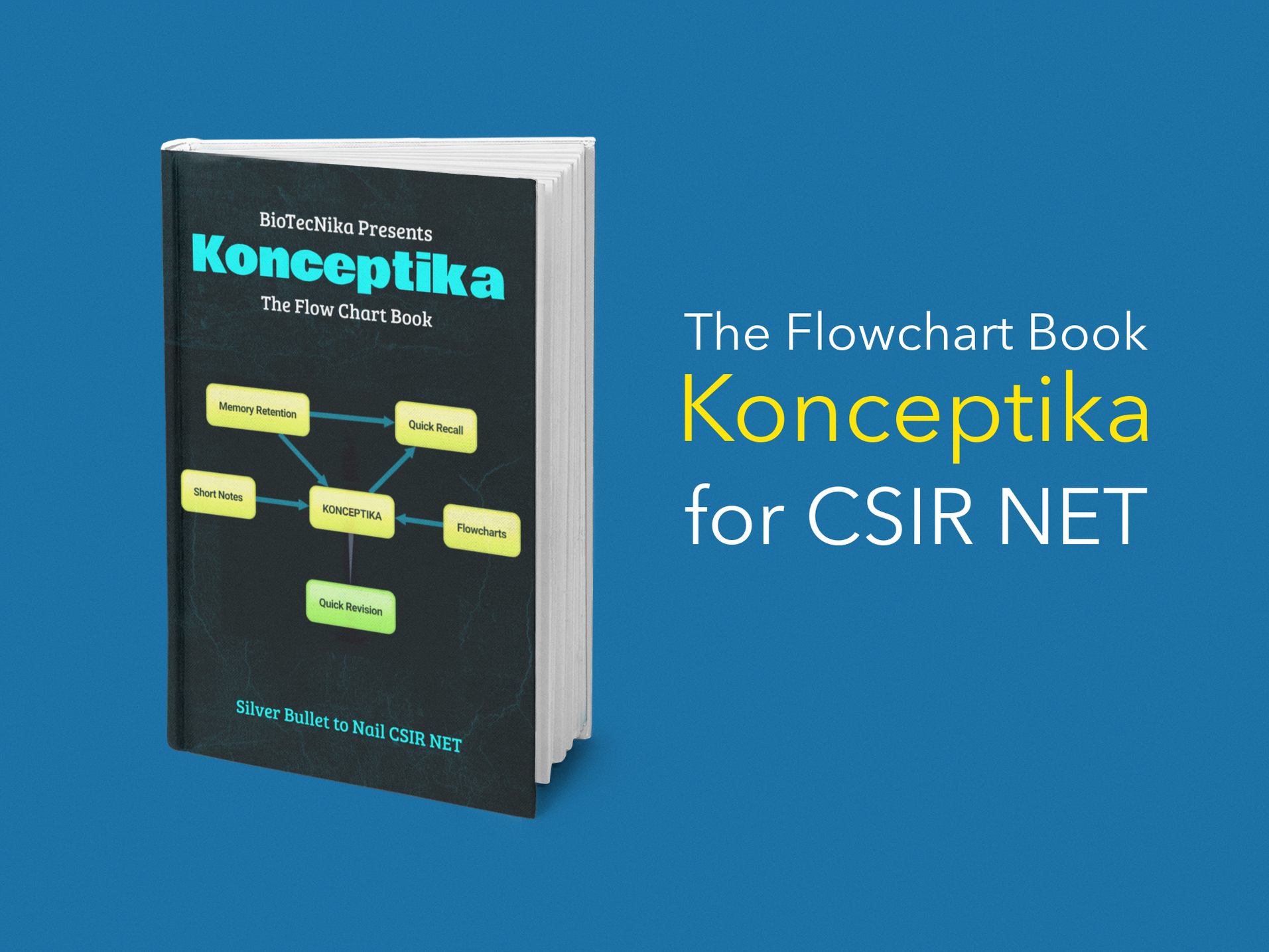 Konceptika - The Flowchart Book — BioTecNika Store